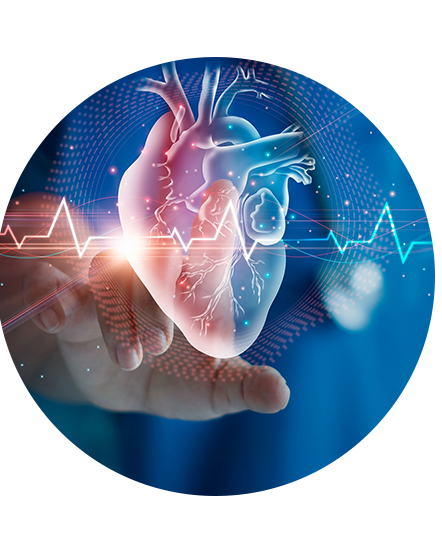 Echipa inimii | Reginamaria.ro