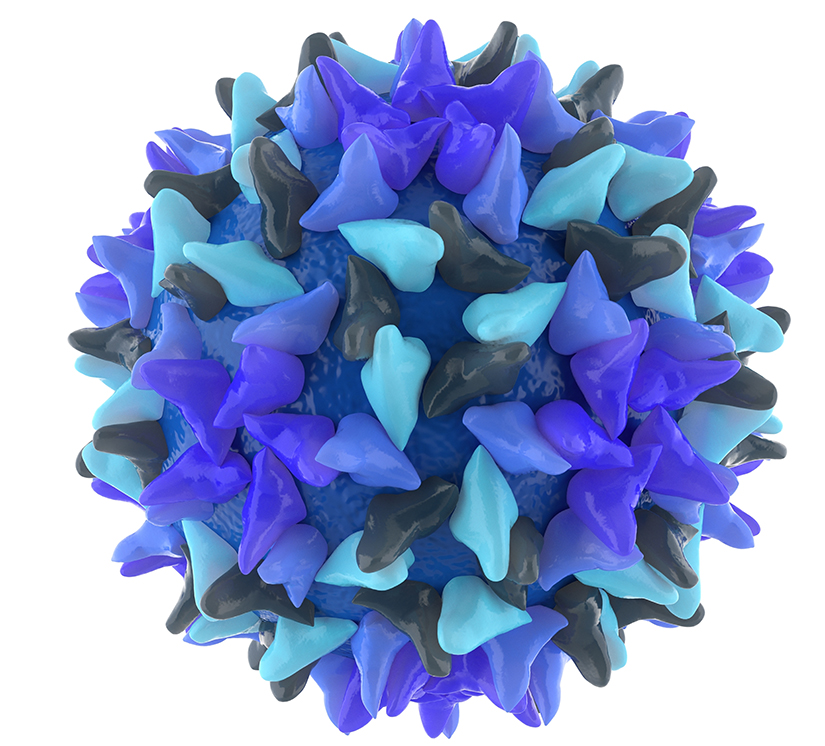 Gripa: fa cunostinta cu virusurile gripale! | Reginamaria.ro