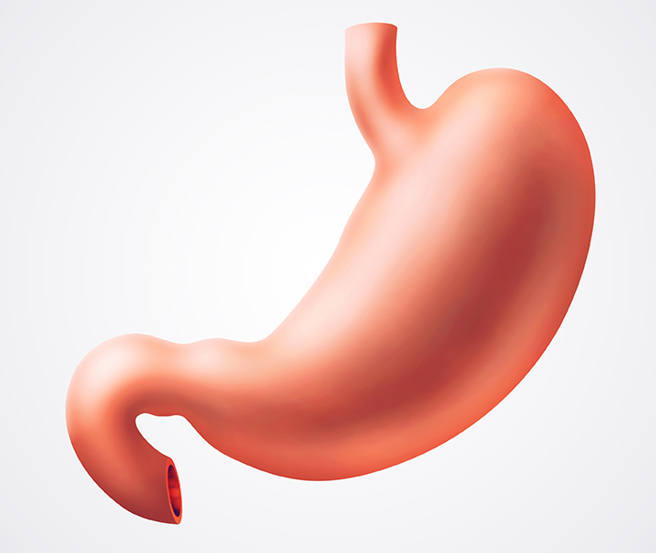 Interpretive Excludere Orator arsuri in stomac si scaun moale dupa masa ...