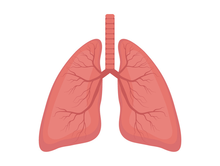 25 septembrie, Ziua Mondiala a Plamanilor | Reginamaria.ro