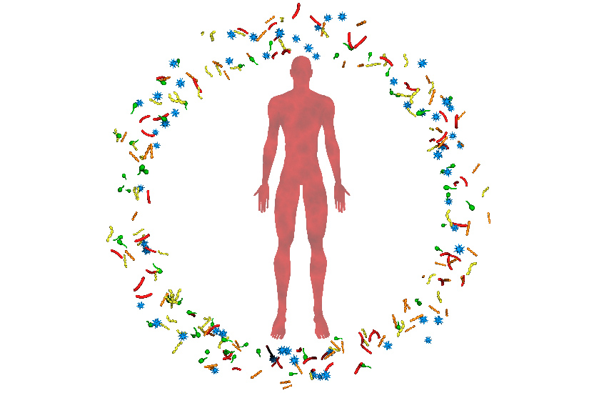 Ce este microbiomul | Reginamaria.ro