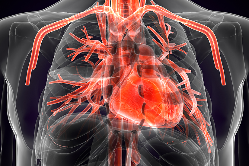 Angio CT – examinarea rapida si neinvaziva a inimii si vaselor de sange ...