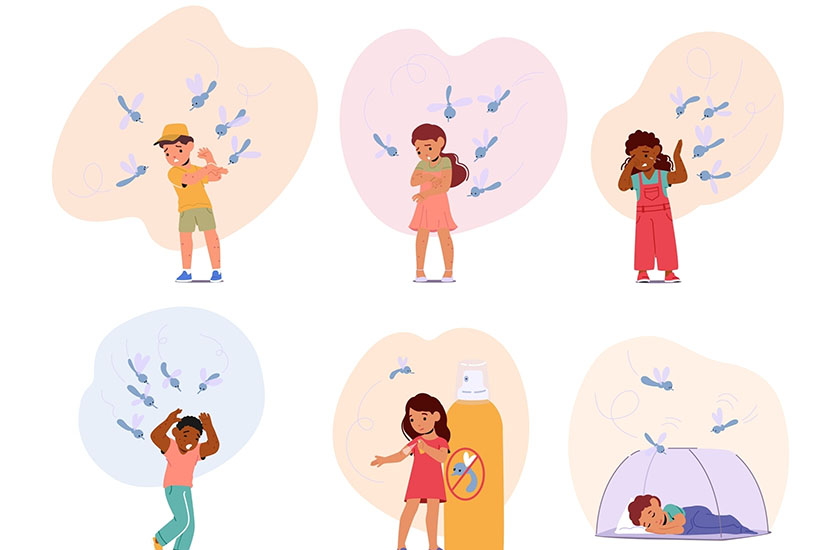 Primul ajutor: muscatura sau intepatura de insecte | Reginamaria.ro