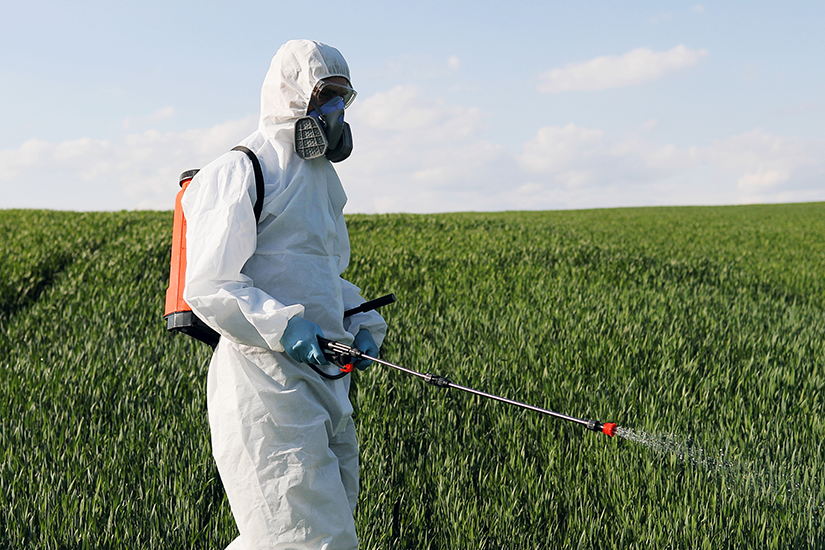 Tot ce ar fi bine să știi despre pesticide | Reginamaria.ro