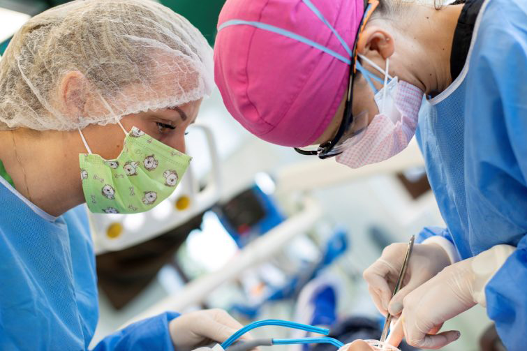 Coronițe dentare pentru copii – soluția pentru cariile profunde ...