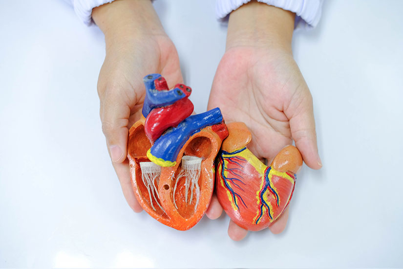 Mixomul cardiac (atrial) | Reginamaria.ro