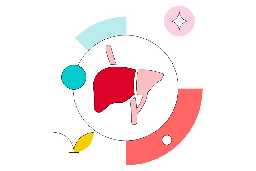 Colecistul și afecțiunile sale: ce trebuie să știi despre diagnostic și ...