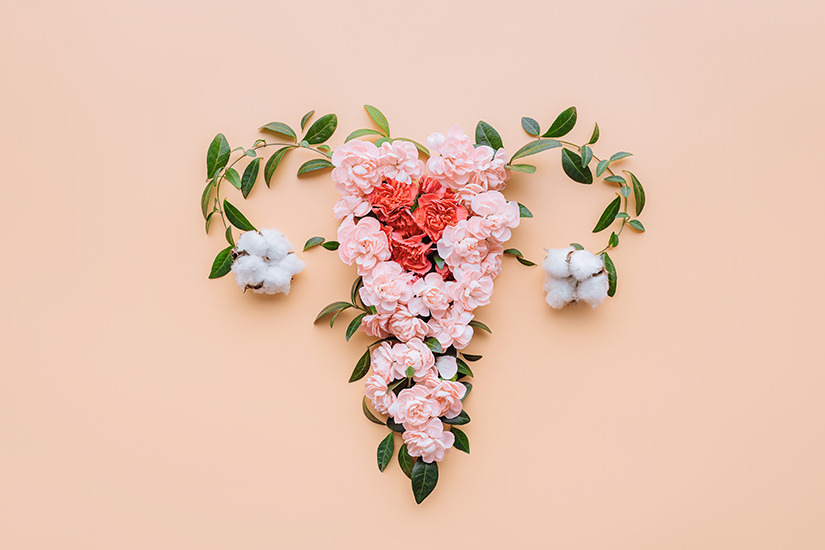 Cum functioneaza sistemul reproducator feminin | Reginamaria.ro